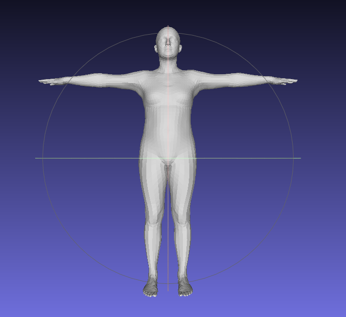 GitHub - MultiModal-Motion-Mapping/SMPL_usage